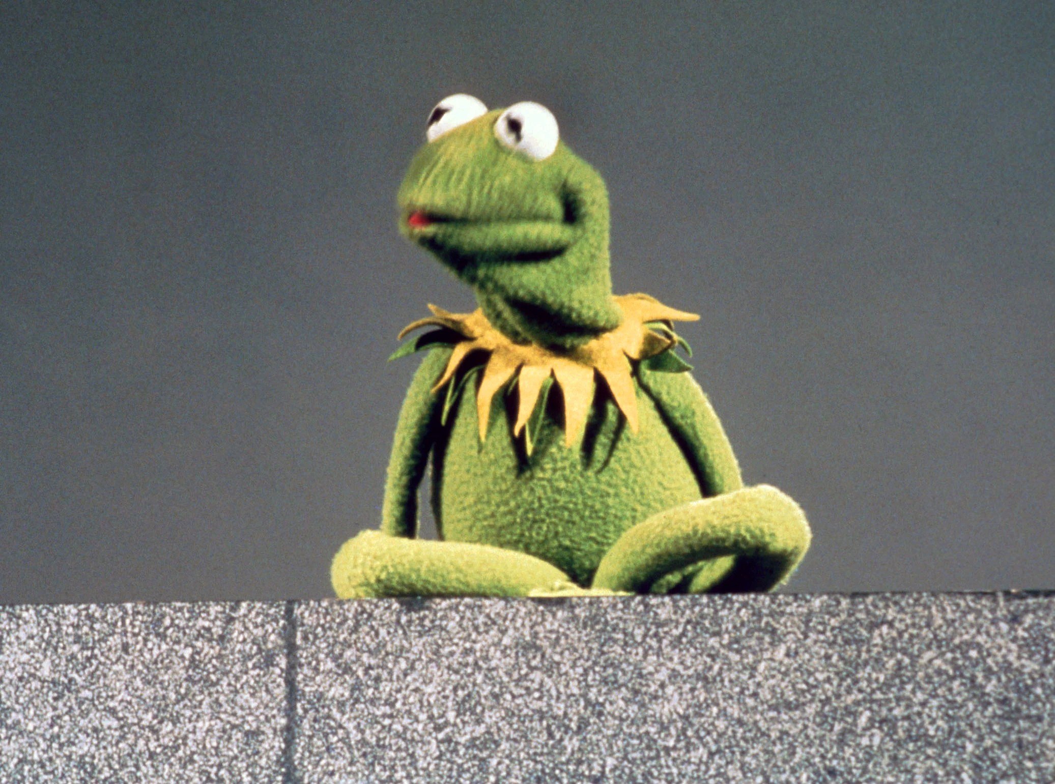 Kermit The Frog Through The Years Muppet Wiki