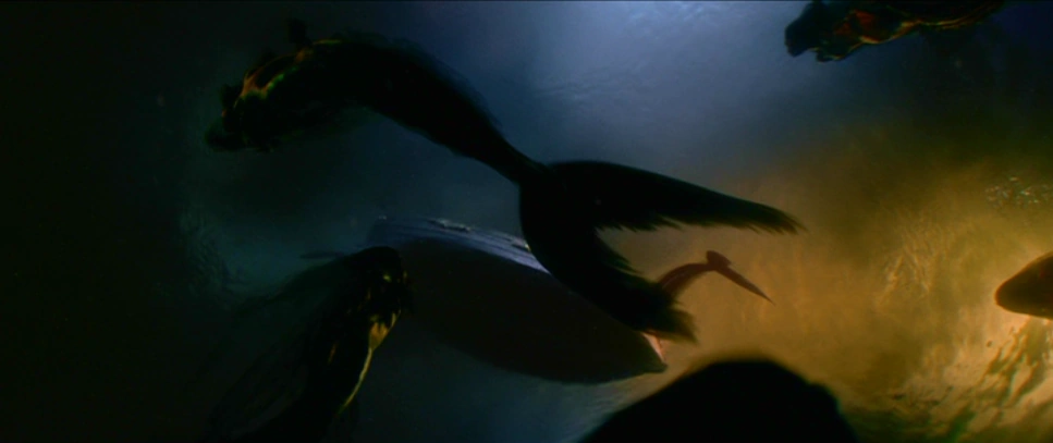 Mermaid - Pirates of the Caribbean Wiki - The Unofficial Pirates of the ...