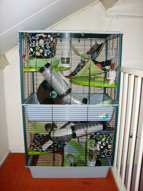 Ferplast Furat KD Tower - Tamme Ratten wiki