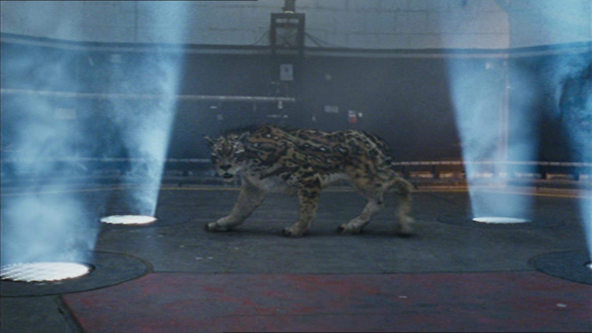 Smilodon - Anomaly Research Centre Smilodon - Anomaly Research Centre