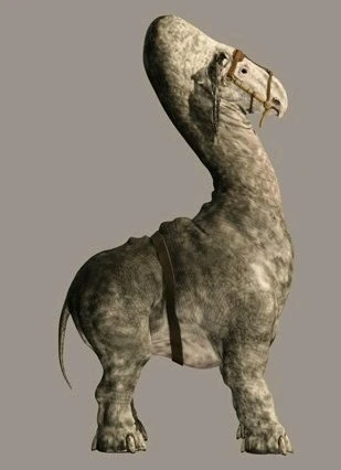 Request Several Custom Logos & Uniforms for Star Wars Tatooine League ...