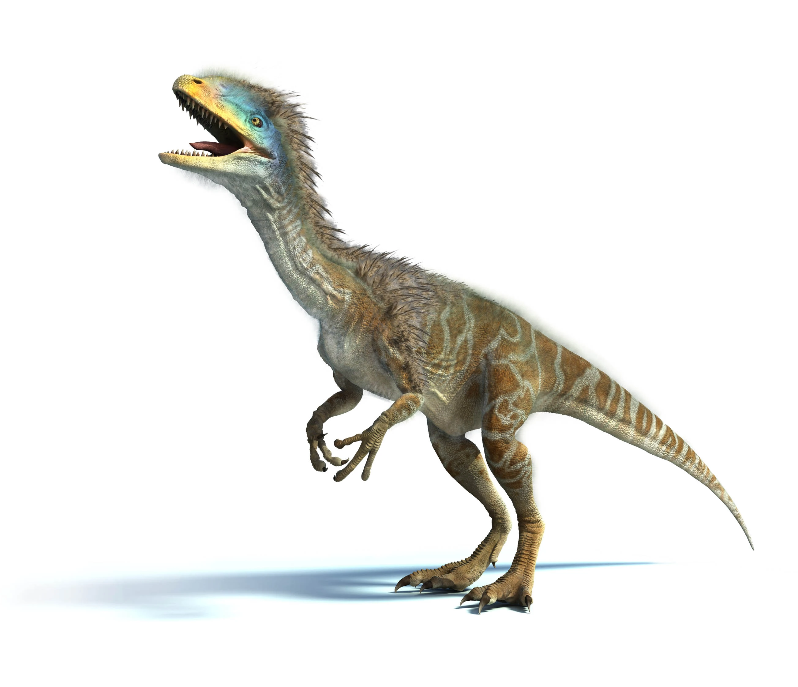 Coelurosauria - Entirely Dinosaur Wiki