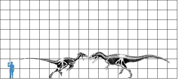 Utahraptor - JungleKey.fr Image #300