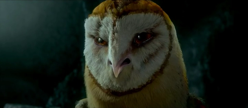 Kludd - Guardians of Ga'Hoole Wiki