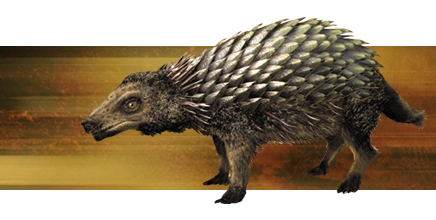 Desert Rattleback - The future is wild wiki