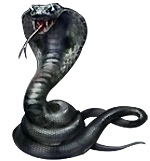Image - Shadow Cobra.png - Vampire Wars Wiki - Vampire Wars by Zynga ...