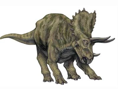 Triceratops - Jurassic Park Wiki