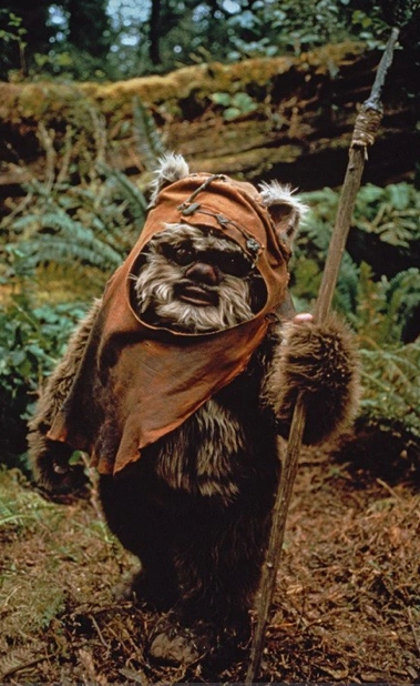 Ewok - Star Wars Wiki