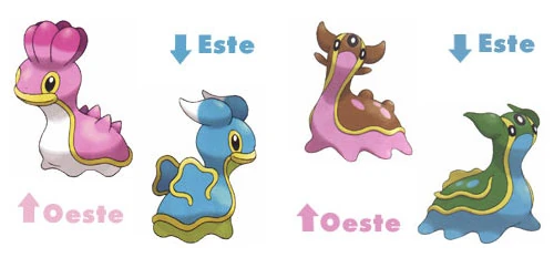 Shellos Evolution Chart