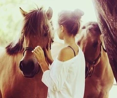 View topic - The Perfect Pair || One Direction Roleplay - Chicken Smoothie