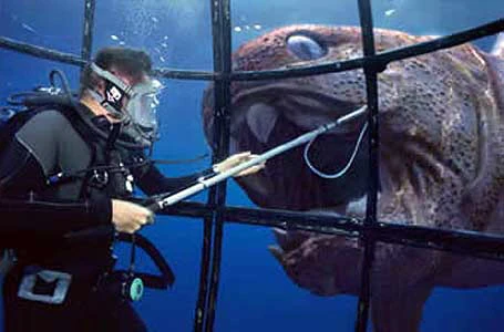 Dunkleosteus - Dinopedia - the free dinosaur encyclopedia