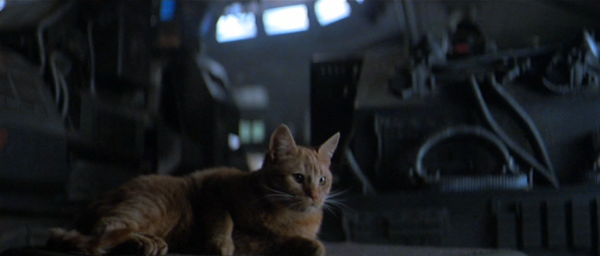 Jonesy images - Alien Anthology Wiki - The Alien and Prometheus resource