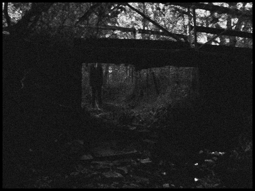 Slender Man in Mythology and Culture | Entity Wiki | Fandom