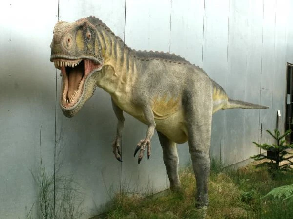 Tarascosaurus - Dinopedia - the free dinosaur encyclopedia