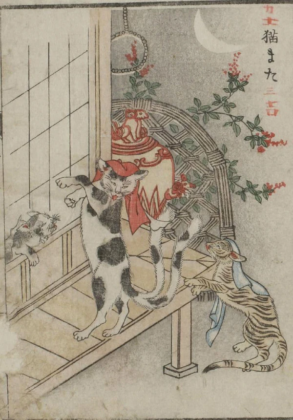Nekomata - Wiki Yokai